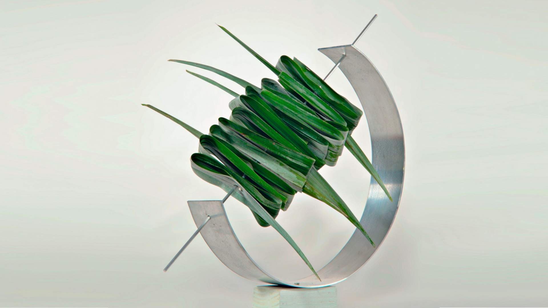 Clubs Floral Art New Zealand clubs-floral-art-new-zealand